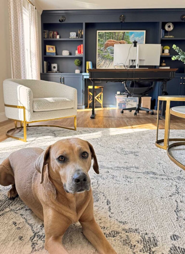How to Design a Family-Friendly Home: Tips from a Philadelphia Interior ...